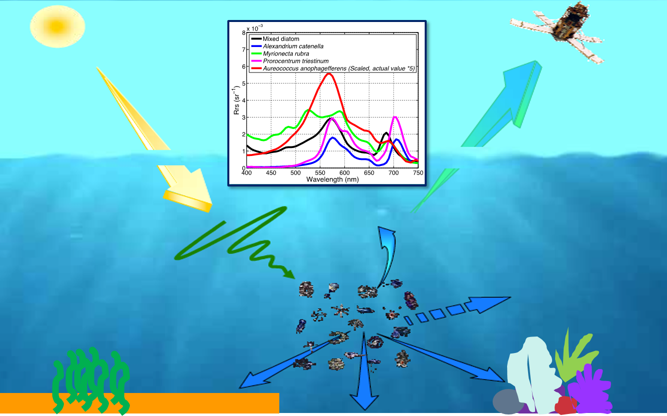 EUMETSAT - User Portal