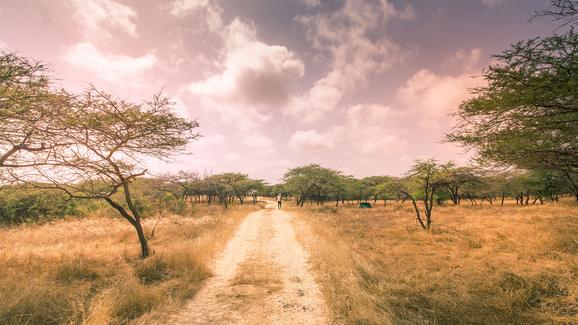 EUMETSAT - User Portal