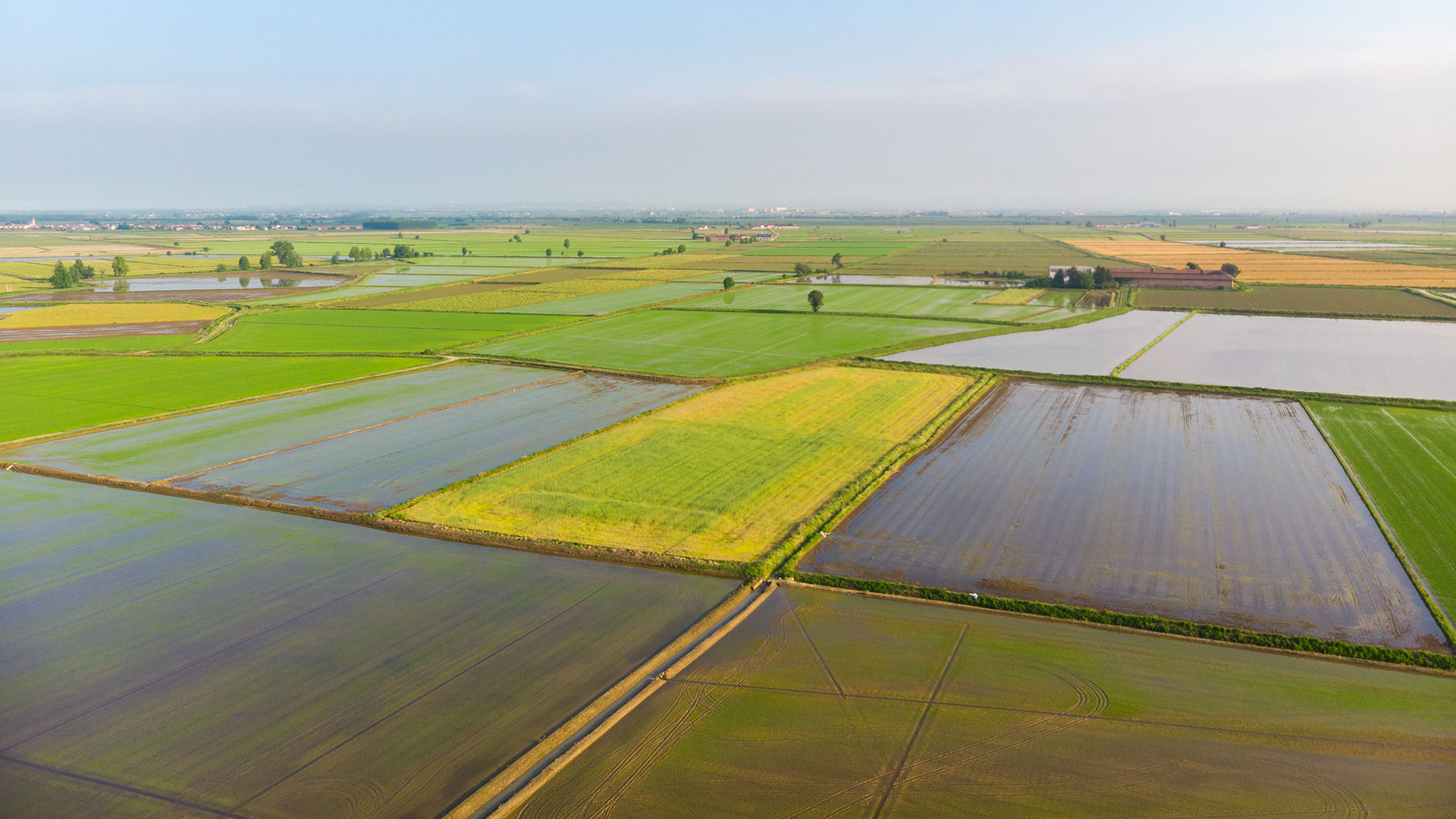 EUMETSAT - User Portal