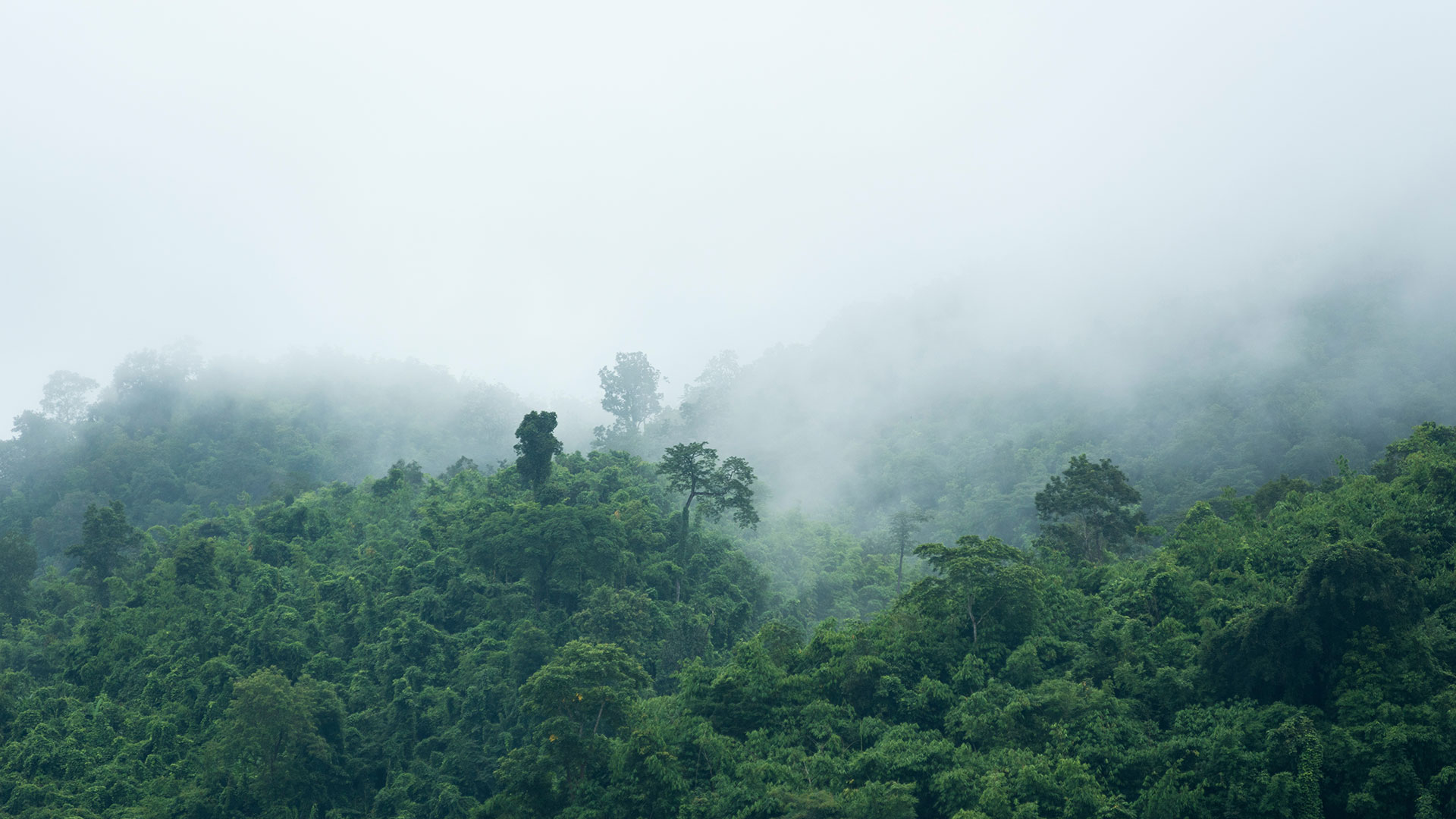 EUMETSAT - User Portal